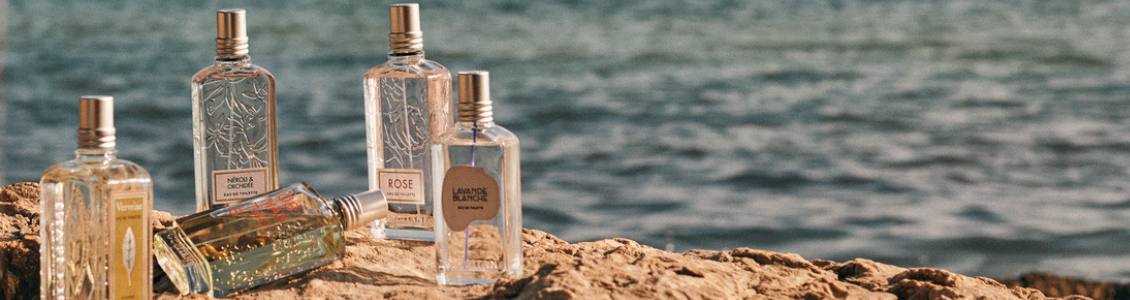 Como aplicar o perfume para um aroma duradouro | L’Occitane | L’OCCITANE PT